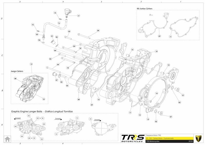 Arandela Tornillo Vaciado de Aceite Trrs desde 2016 56104 — Non Stop Bikes